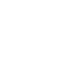 Mosca azul (Calliphora sp.) - Bichos ID de Fucesa