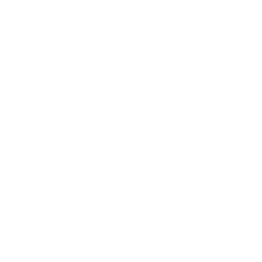 Mosca azul (Calliphora sp.) - Bichos ID de Fucesa