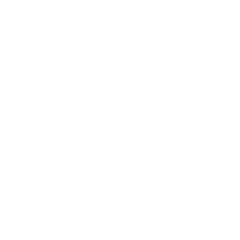 Mosca azul (Calliphora sp.) - Bichos ID de Fucesa